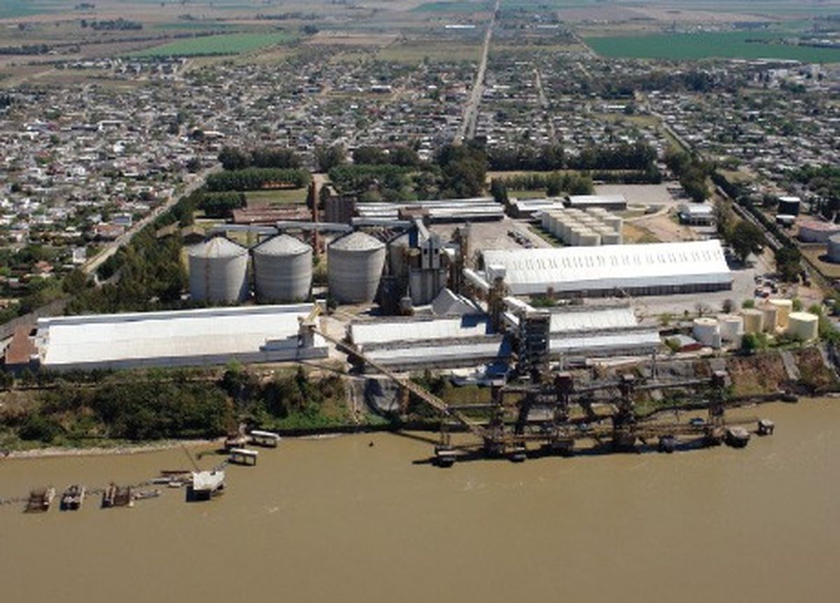 Vicentin: Peligro de concentración de mercado – Motor Economico